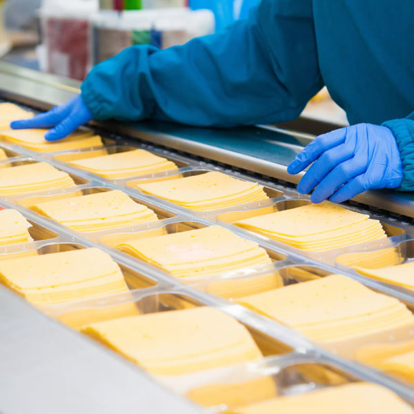 Food Processing Products - Saldesia Corporation